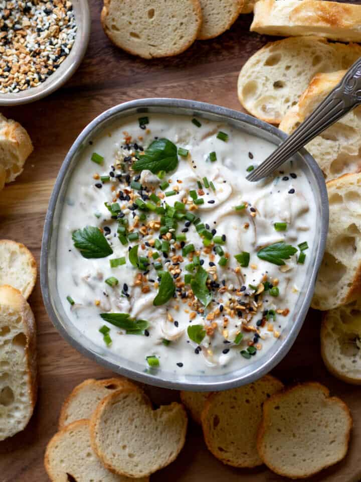 39+ Must-Try Vegan Appetizers! – No Sweat Vegan