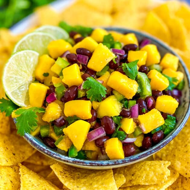 Mango Black Bean Salsa – No Sweat Vegan